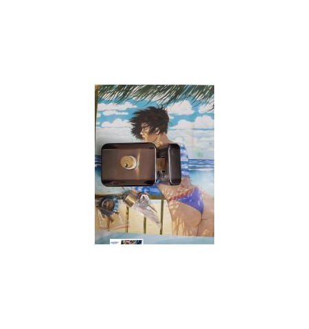 RF lock. 433.xxxMhz Radio frequency lock, internal sliding rail ...